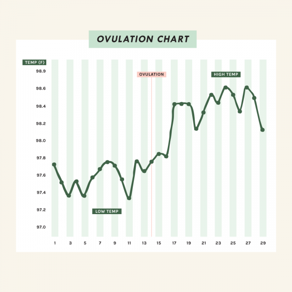 How to REALLY Tell If You're Ovulating + Best Fertility Awareness ...